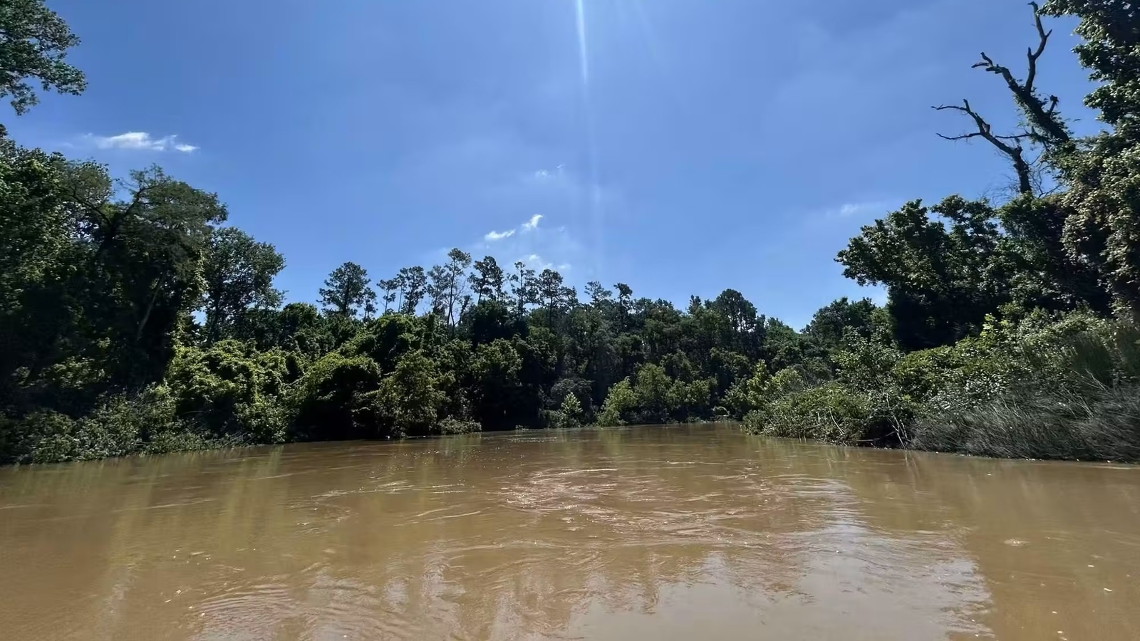 Texas Parks and Wildlife Department clears Greens Bayou in Houston as a ...