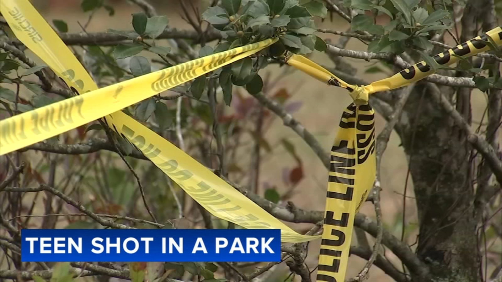 Neighbors shocked after 16-year-old found shot in New Brooklyn Park in ...