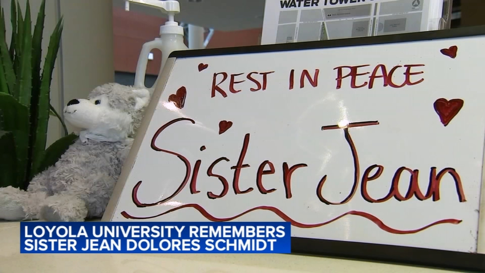 Loyola University Chicago mourns death of Sister Jean Dolores Schmidt ...
