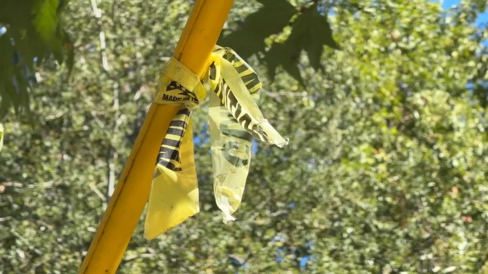 New high-rise building to house Skid Row homeless in $600,000 units in ...