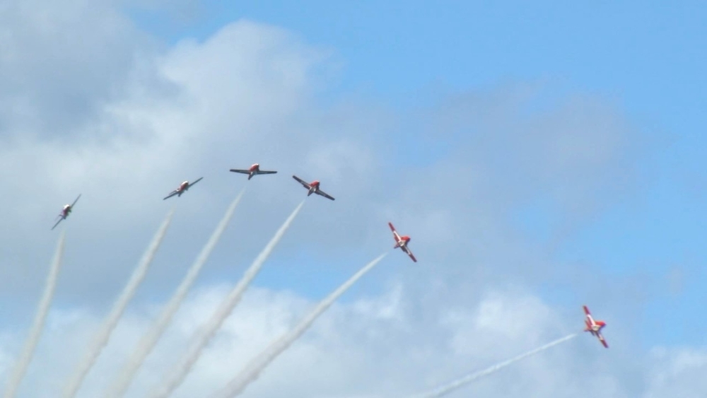 Fleet Week 2024: Top 7 locations to view Blue Angels air show in Bay ...