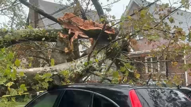 Nor'easter hits NYC, Tri-State with downpours, damaging winds, and ...