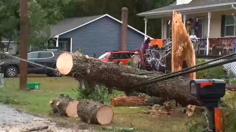 Nor'easter knocks down trees on Long Island and in Westchester - ABC7 ...