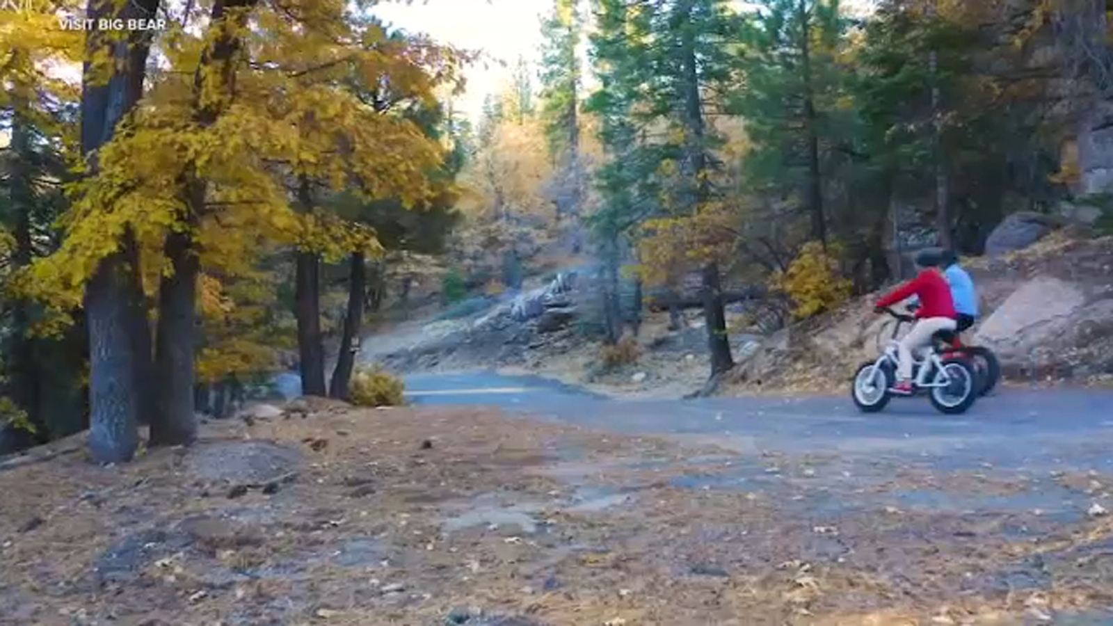 You don't have to travel out of California to see some fall foliage ...