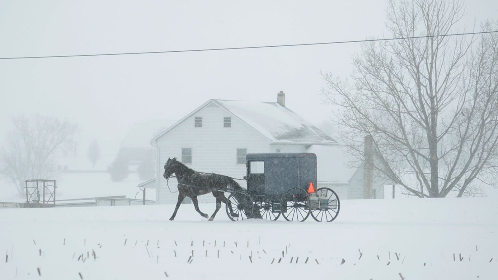Images from the March 2017 blizzard - ABC7 New York