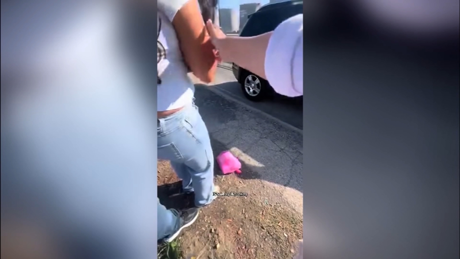 Cicero teen describes moment ICE agents detained parents in Chicago ...