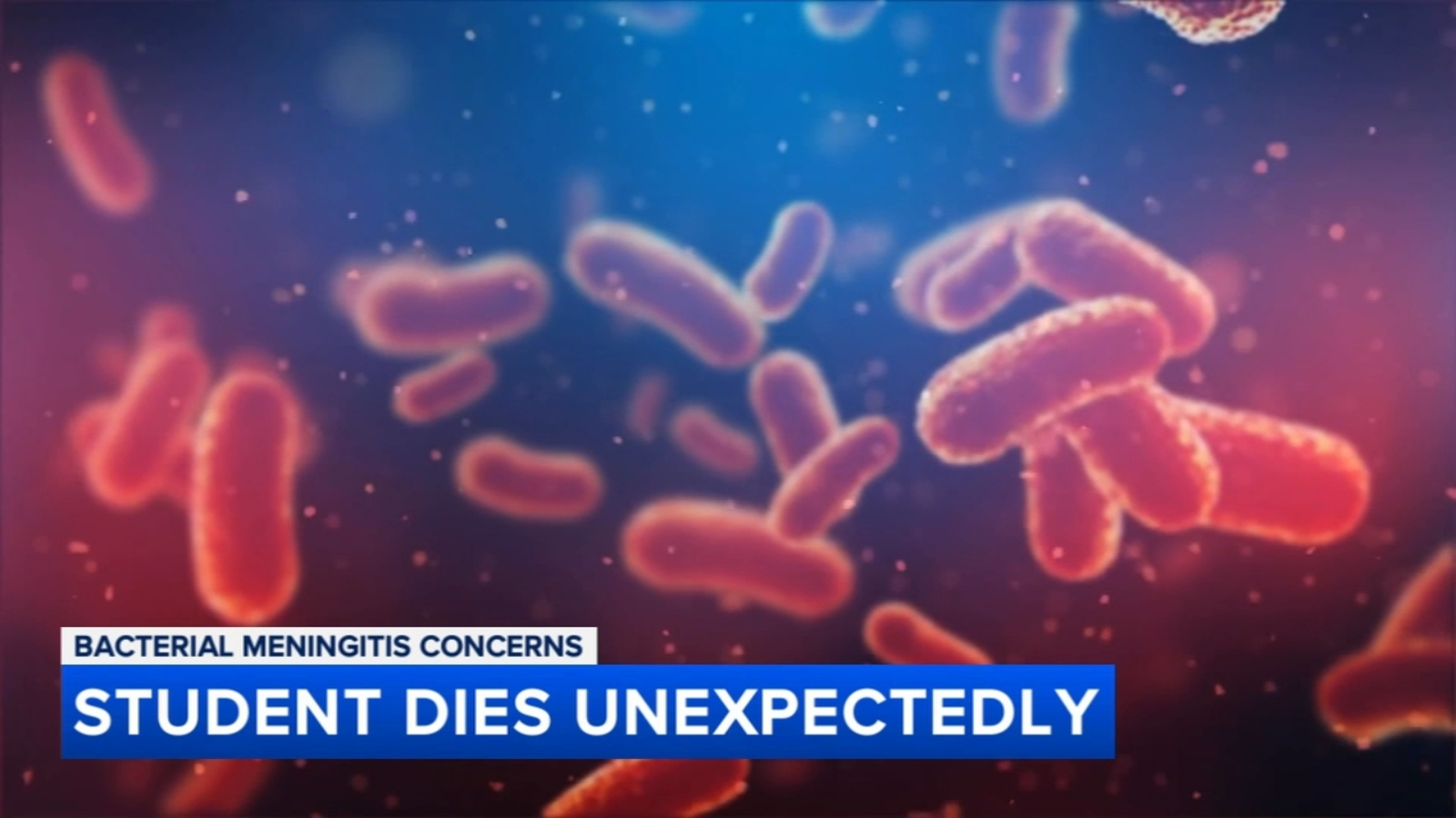 Neshaminy High School student dies of bacterial meningitis - 6abc ...