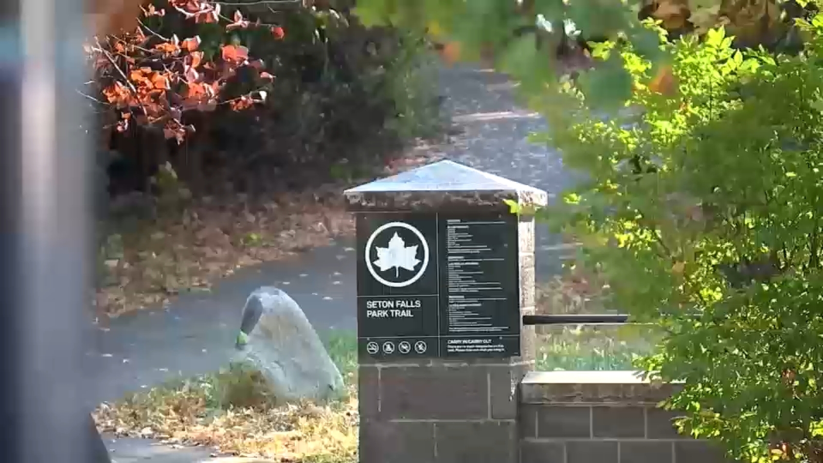 Suspect arrested for allegedly luring 14-year-old into park, performing ...