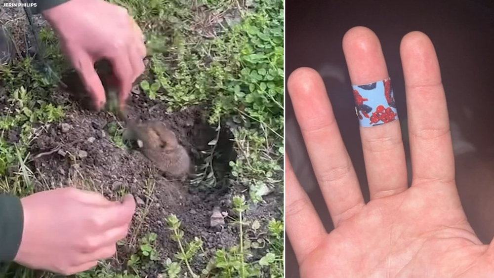 Are flu shots at the pharmacy as safe as at the doctor's office? - ABC7 ...