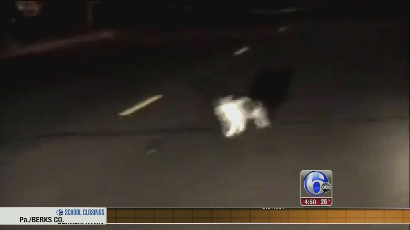Minnesota police officer stumbles upon cat and mouse chase - 6abc ...