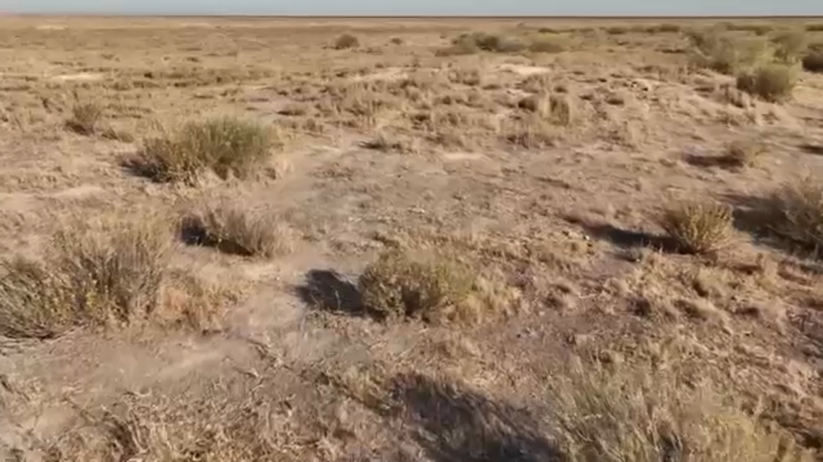 NOAA forecast predicts drier conditions in Southern California than ...