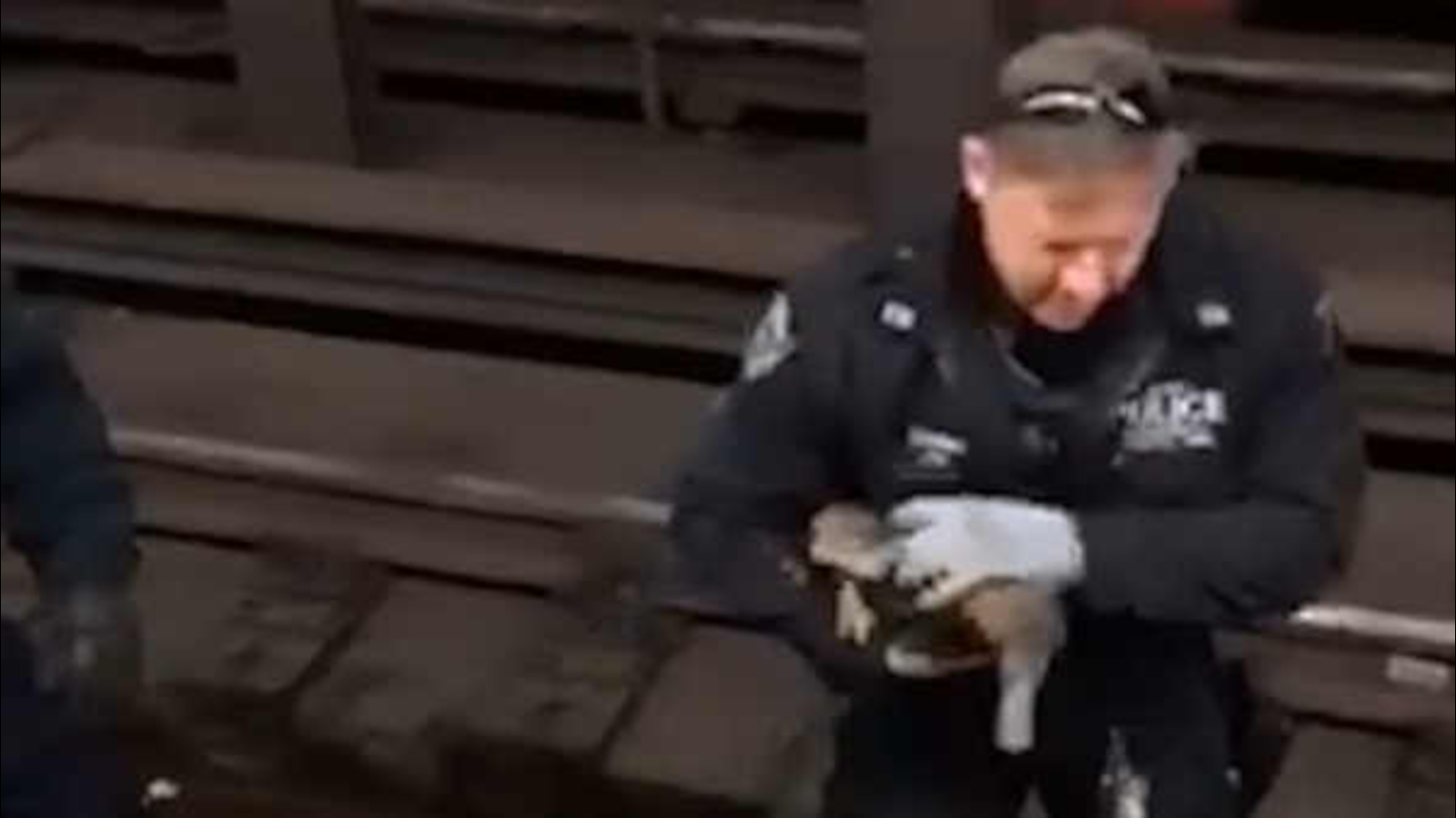 Police officers rescue duck found on subway tracks in Bushwick ...
