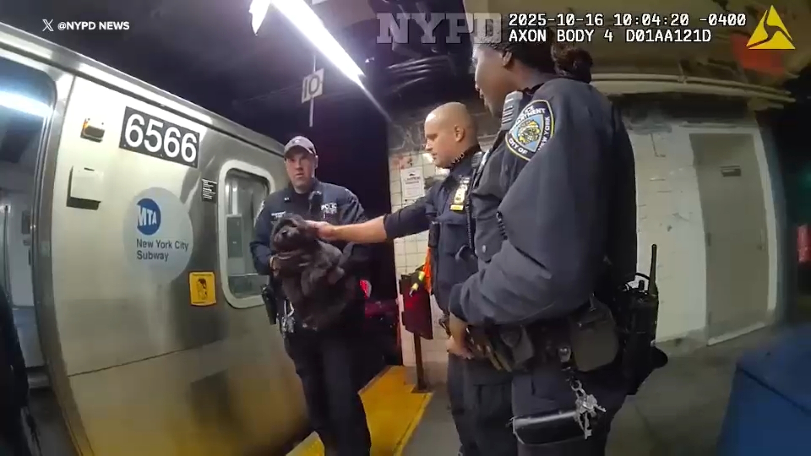 NYPD officers rescue distressed dog from beneath subway train in ...