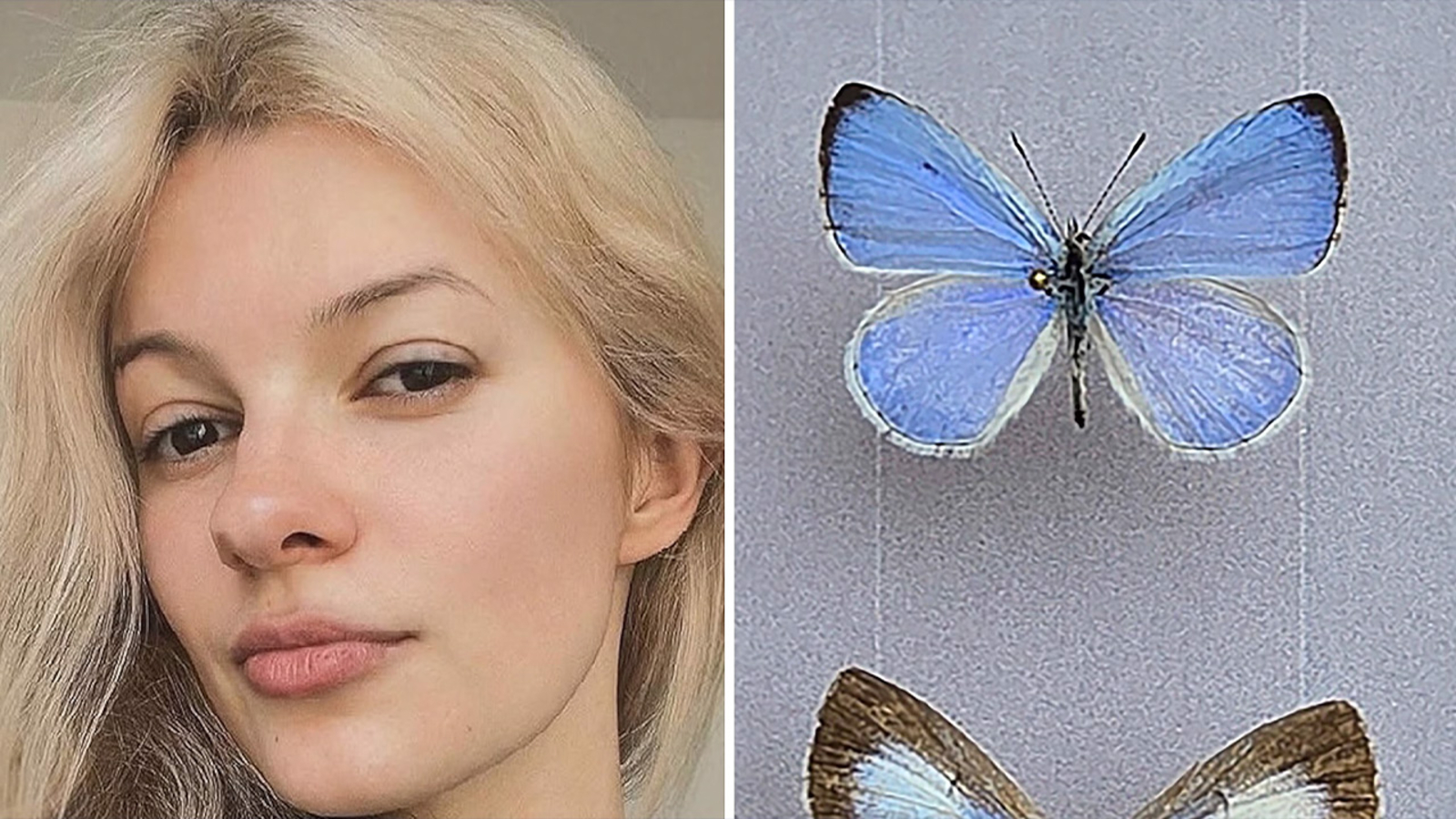 Iryna Zarutska: Charlotte light rail stabbing victim 'immortalized' in ...