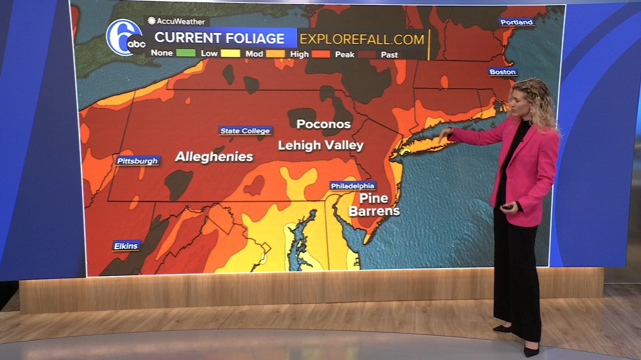 Download 6abc Apps - Streaming Devices, Mobile News, Amazon Echo - 6abc ...