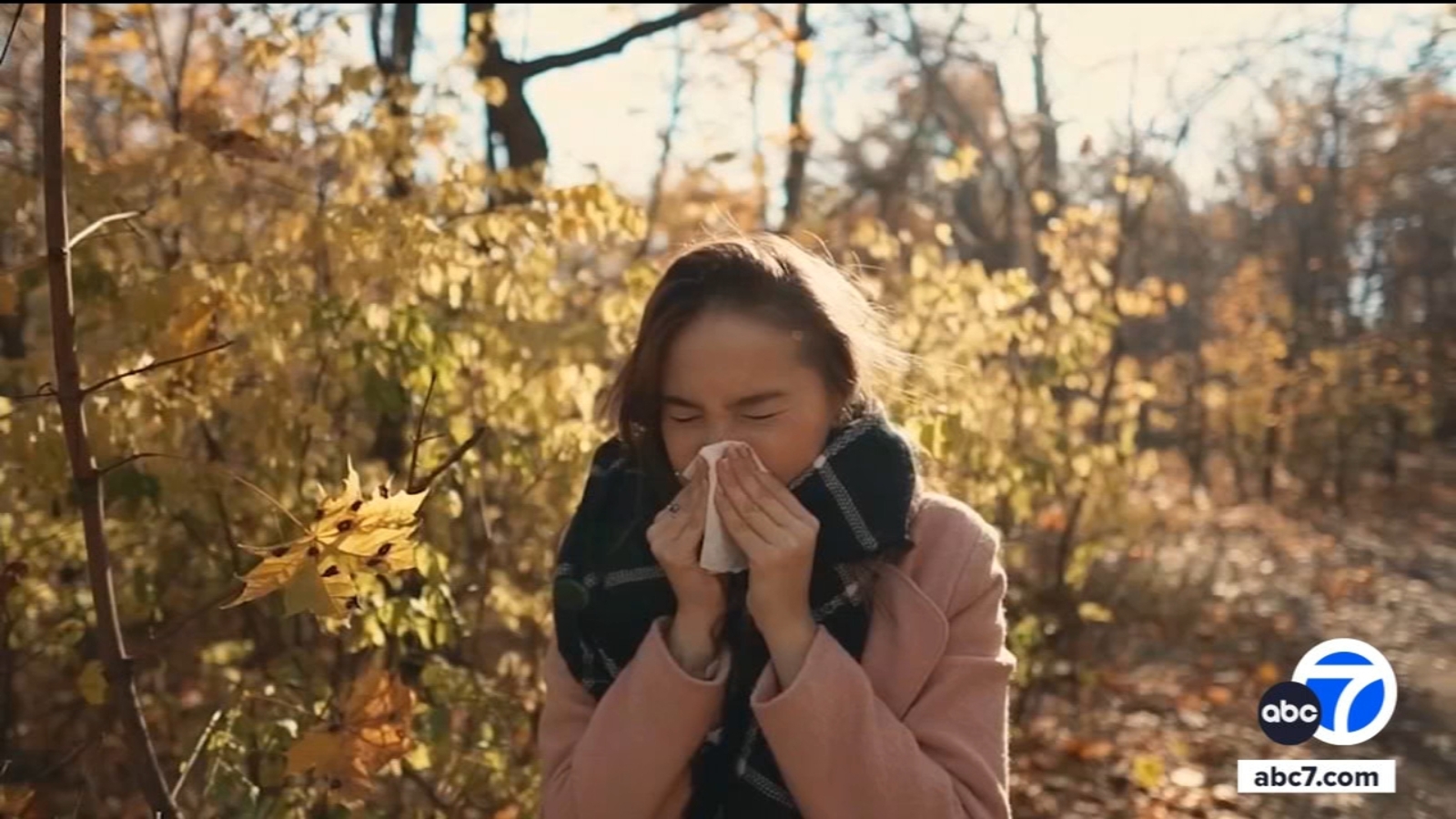 Beyond The Forecast: How to minimize your fall allergies - ABC7 Los Angeles