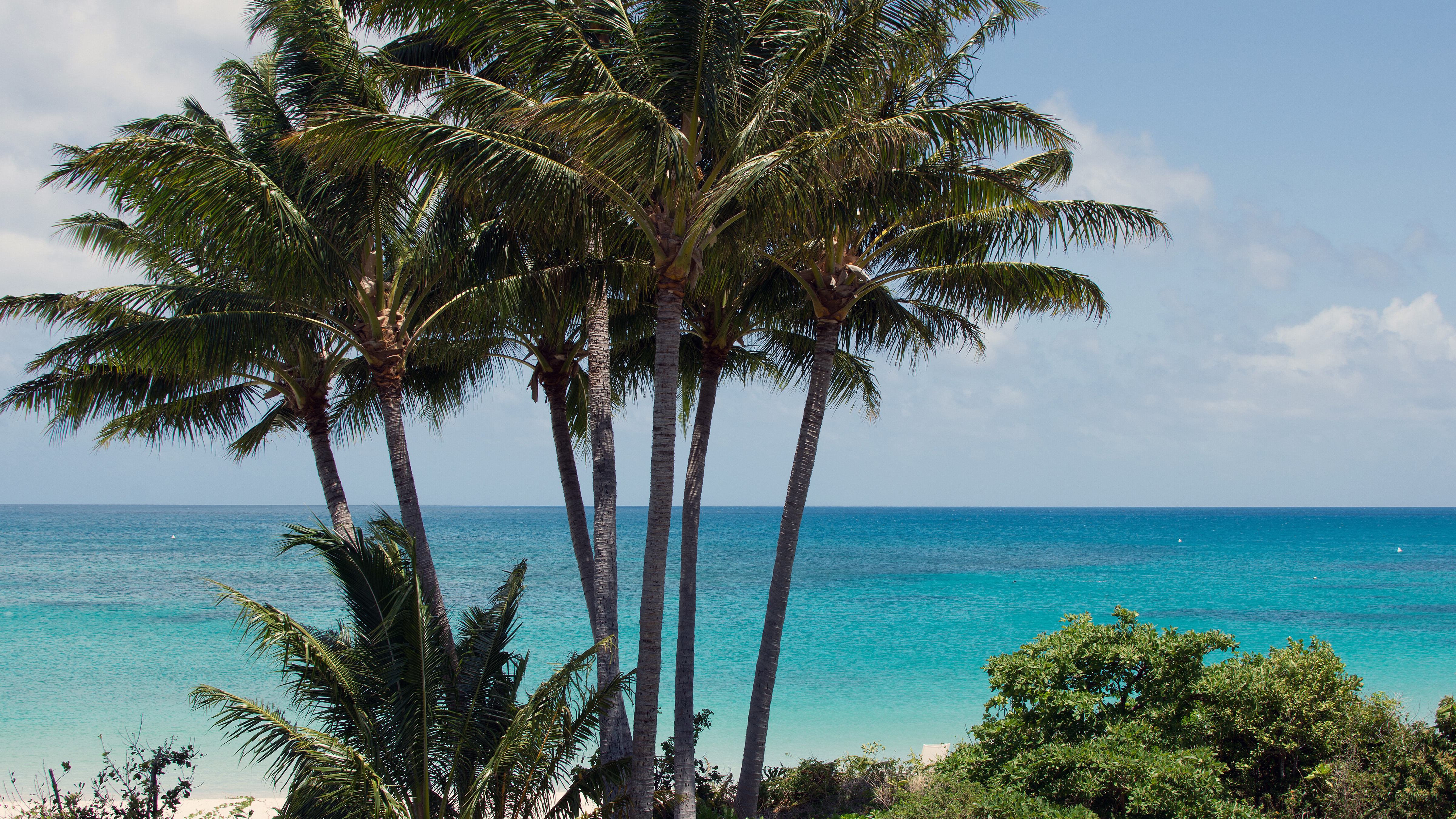 Cruise passenger, 80, found dead after being abandoned on Great Barrier ...