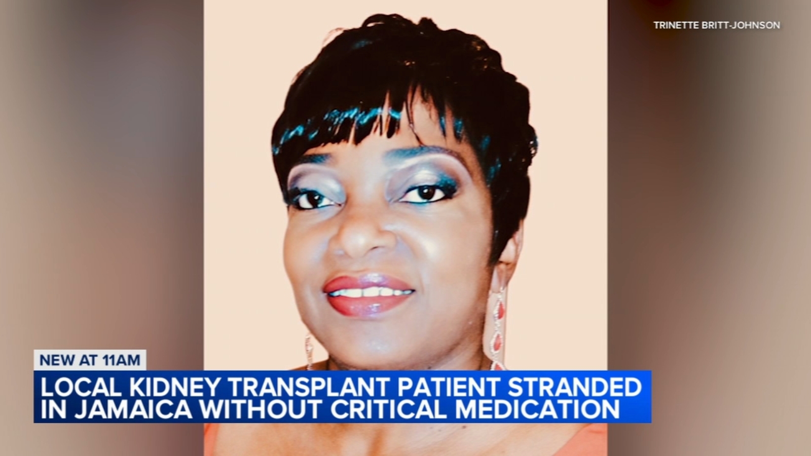 Cook County leaders ask President Donald Trump for help as Rich Township employee Trinette Britt ...