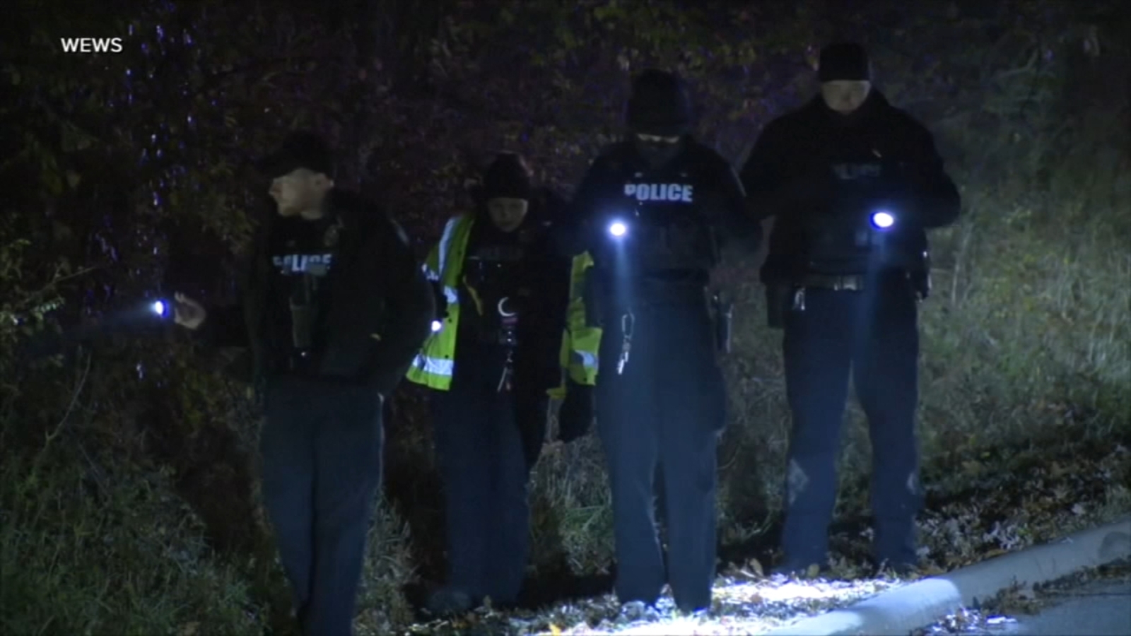 Ohio news: 9 injured in Bath Township shooting at birthday party held ...