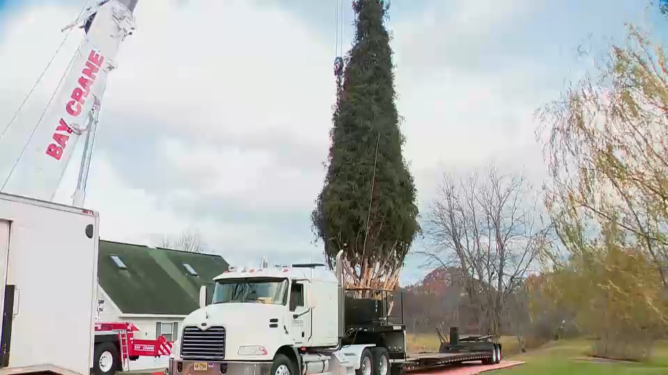 Christmas Tree Albany Ny Comparing This Christmas To Christmas Past