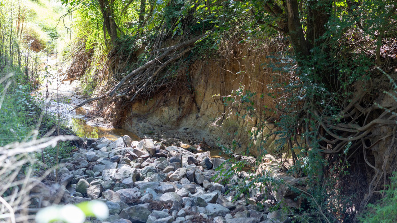 New Wake County study aims to restore health of stream at NC State ...