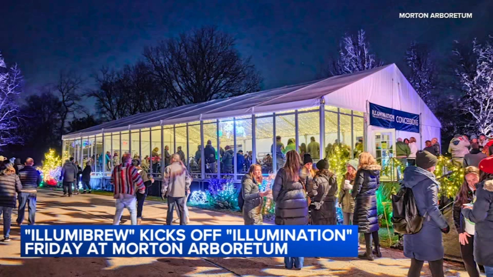 Morton Arboretum 'IllumiBrew' Friday kicks off 'Illumination: Tree ...