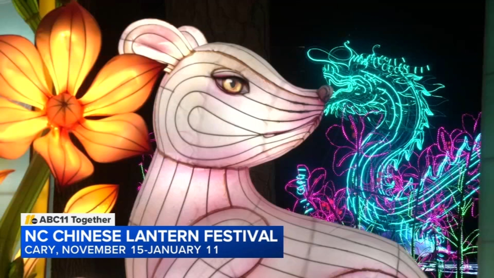 Chinese Lantern Festival returns in Cary: Full Interview - ABC11 ...