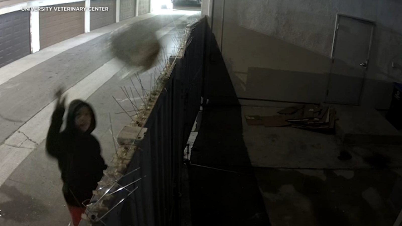 Video shows woman throwing dog over fence in plastic bag in Anaheim ...