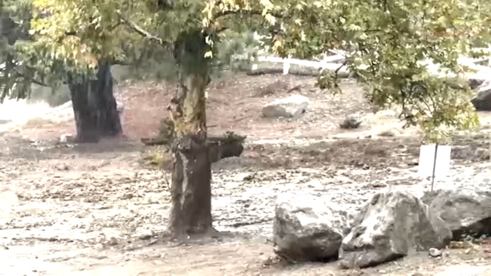 Mud and debris flow down the mountains during storm in IE - ABC7 Los ...