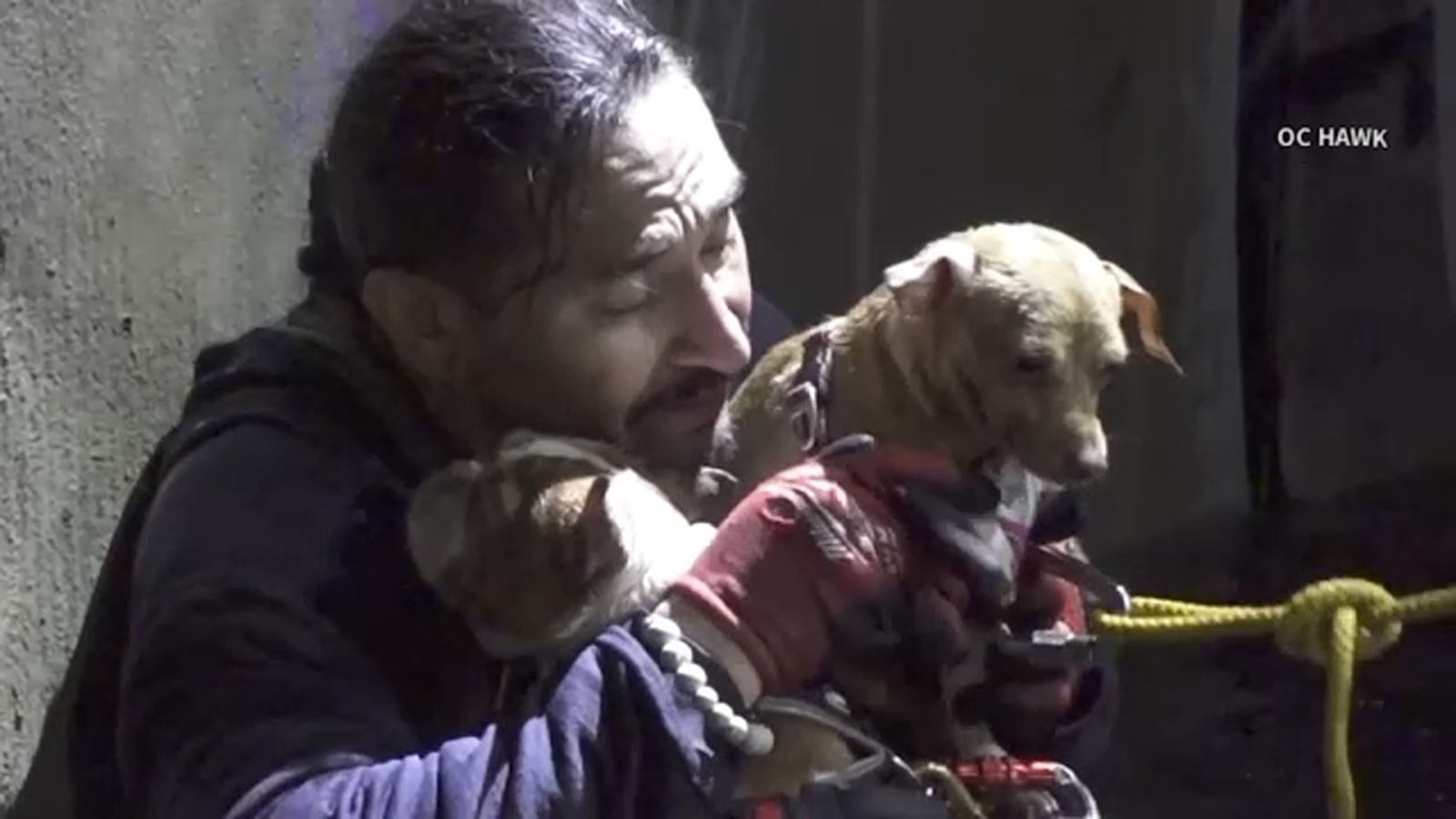 Southern California storm: Dog remains missing after being swept away ...