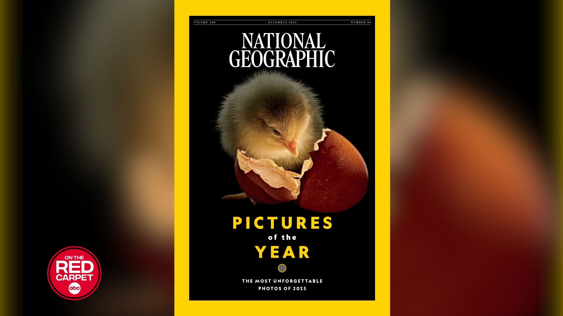 National Geographic reveals 2025 Pictures of the Year, from wildlife to ...