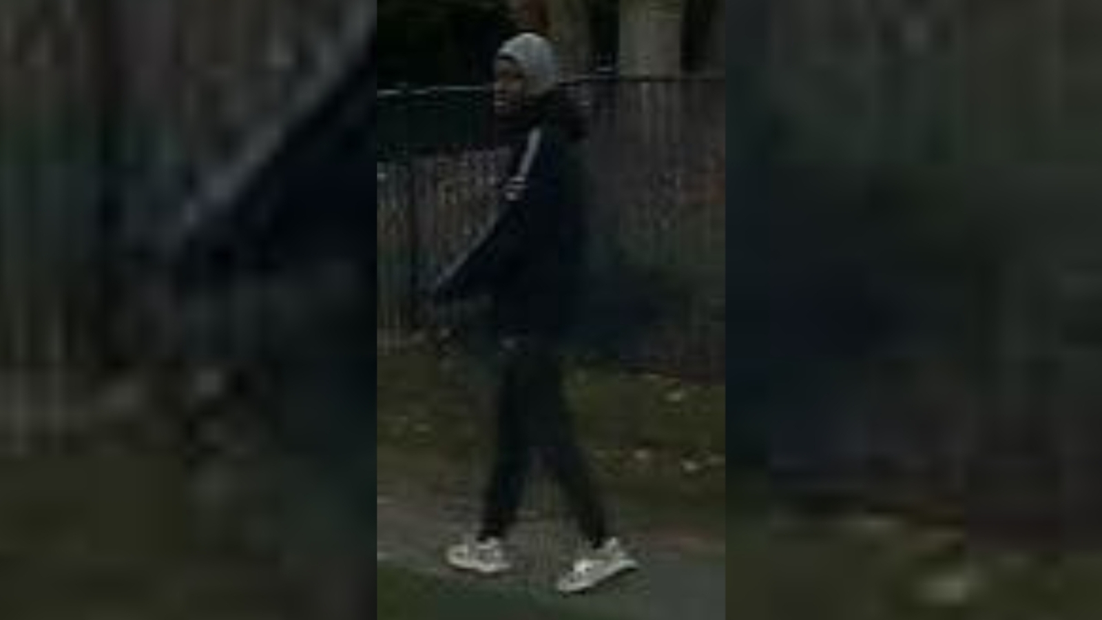 Woman with toddler in stroller attacked by man in Howell, NJ - ABC7 New ...