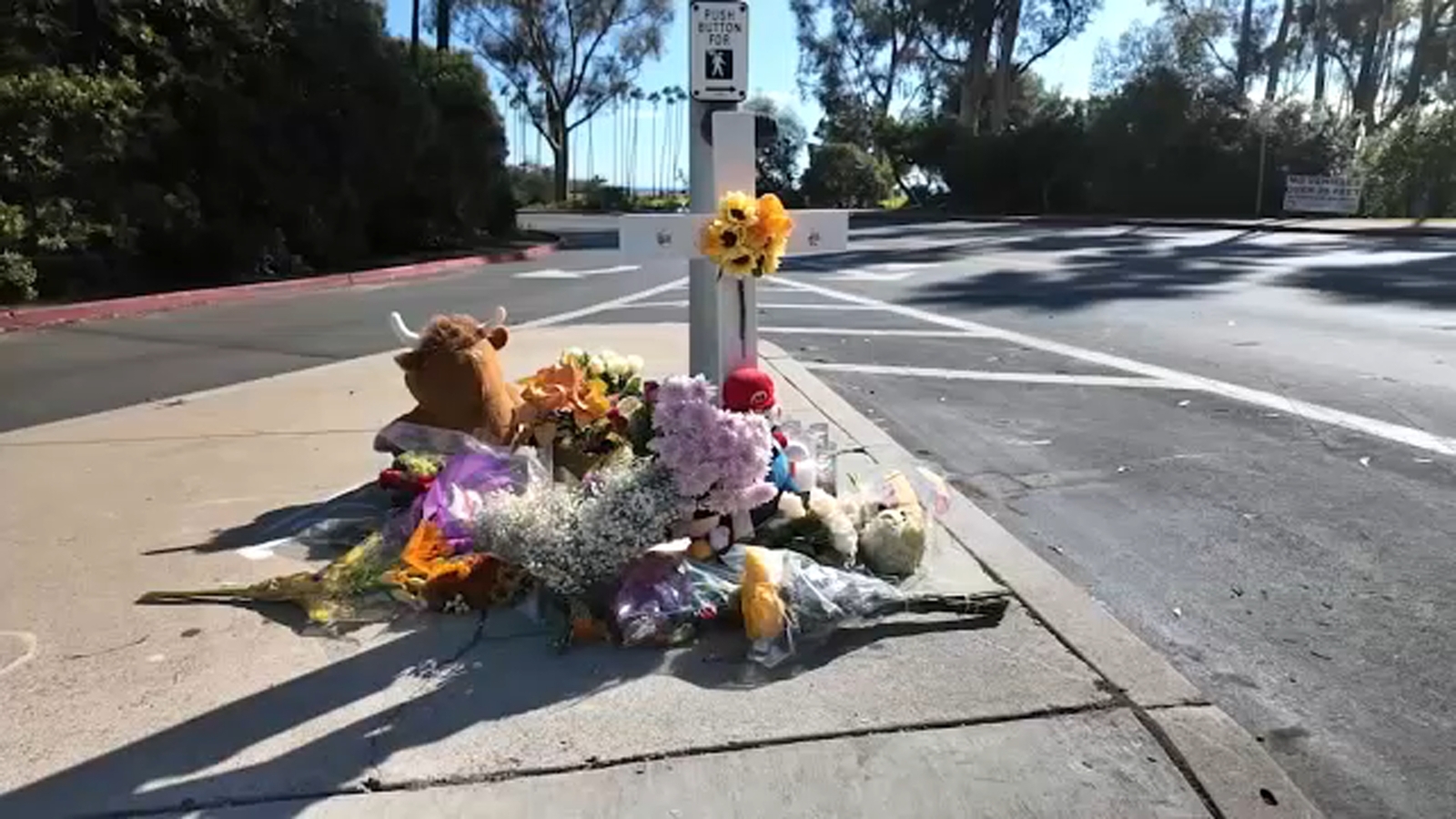Luis Morales-Pacheco death: Students mourn loss of 13-year-old boy ...