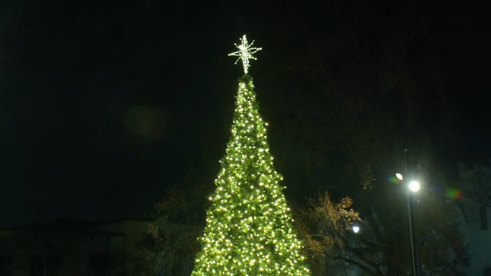 Raleigh Tree Lighting kicks off the 2025 Christmas holiday season in NC ...