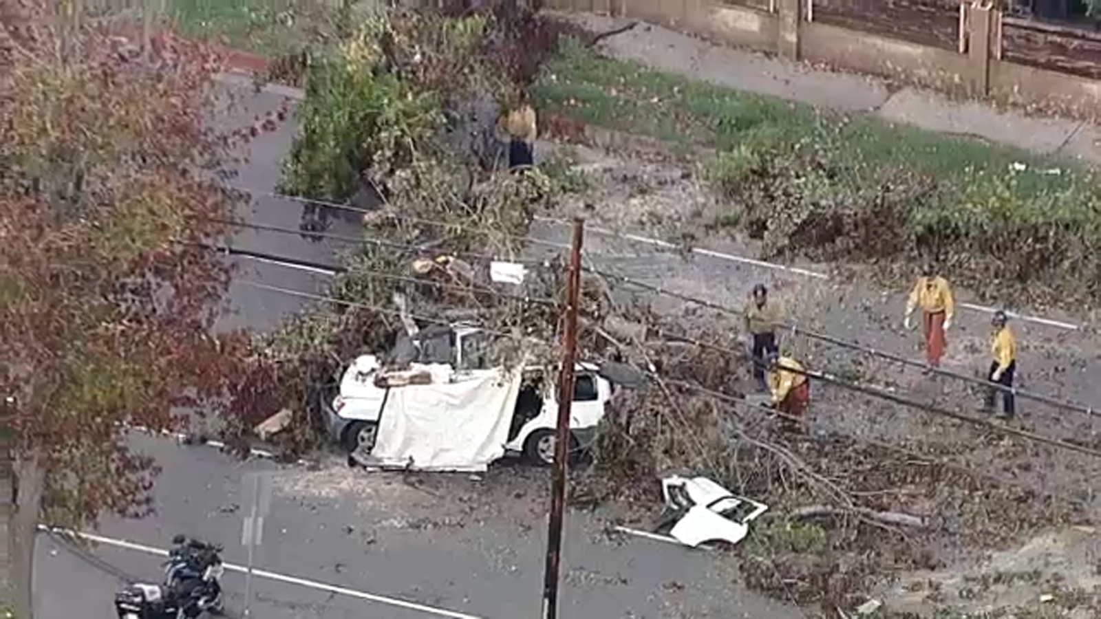 Muere persona tras caída de un árbol sobre varios vehículos en Winnetka ...
