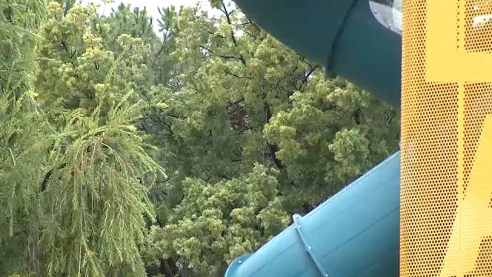 More than $60 million secured to rebuild, restore Altadena parks ...