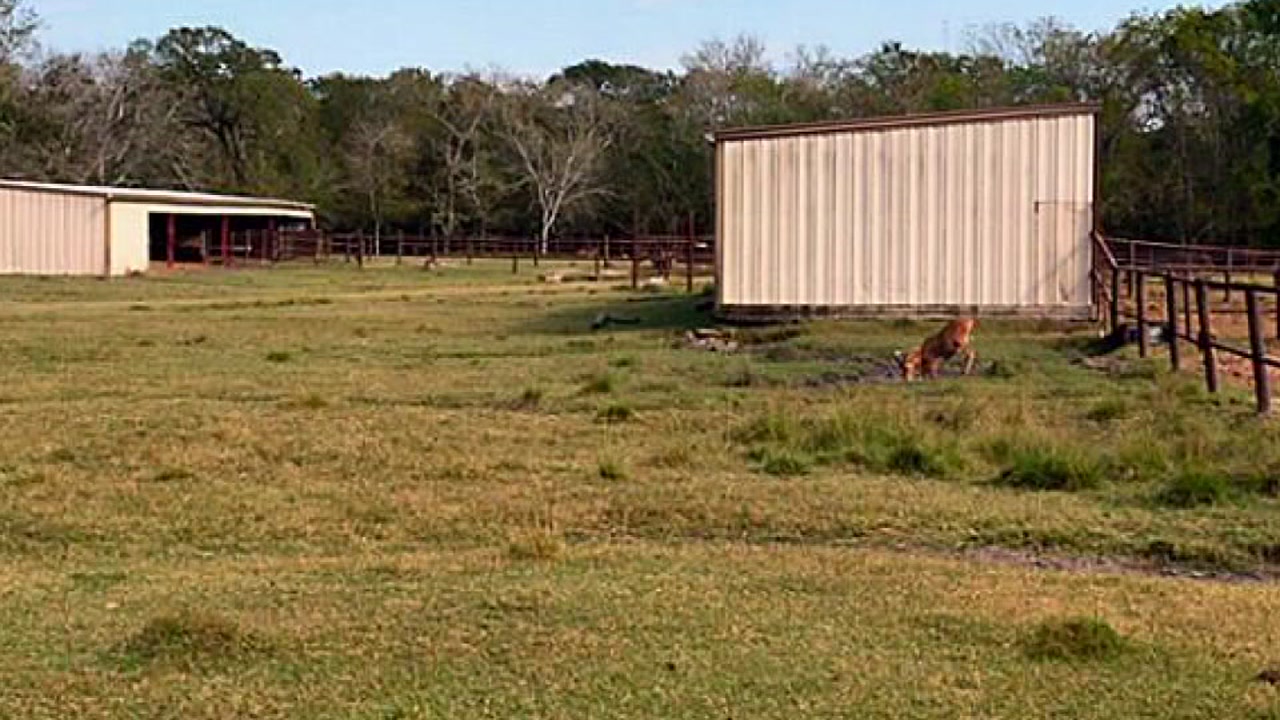 Families vie to raise money to buy Alvin zoo - ABC13 Houston