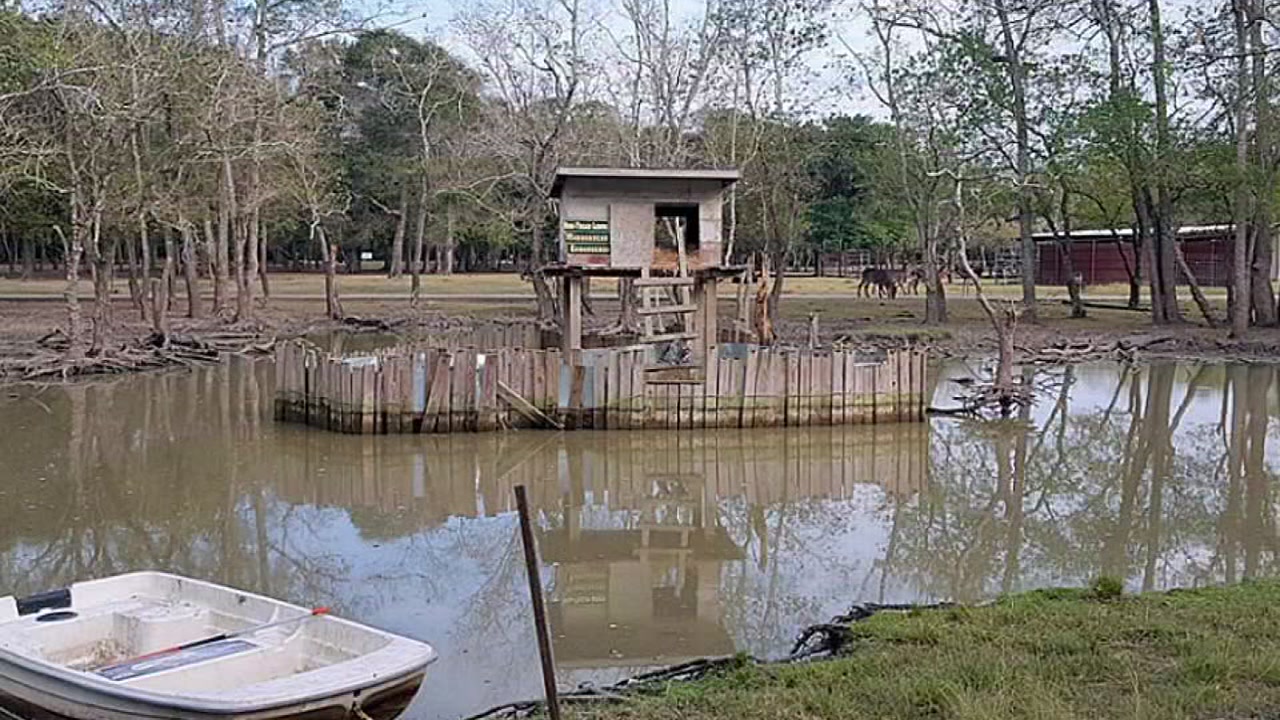 Families vie to raise money to buy Alvin zoo - ABC13 Houston