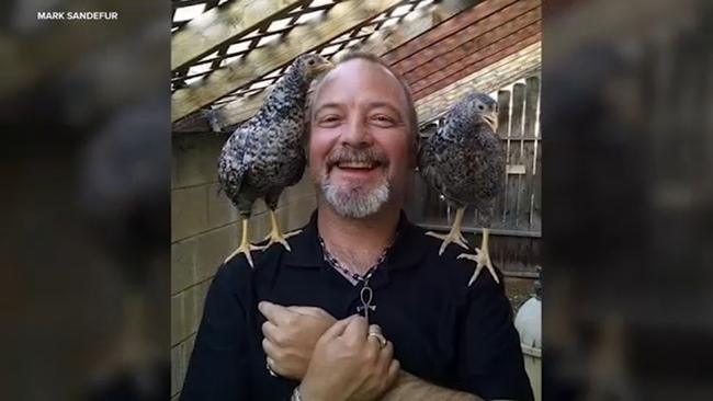 10 years later, San Bernardino honors victims of 2015 terror attack ...