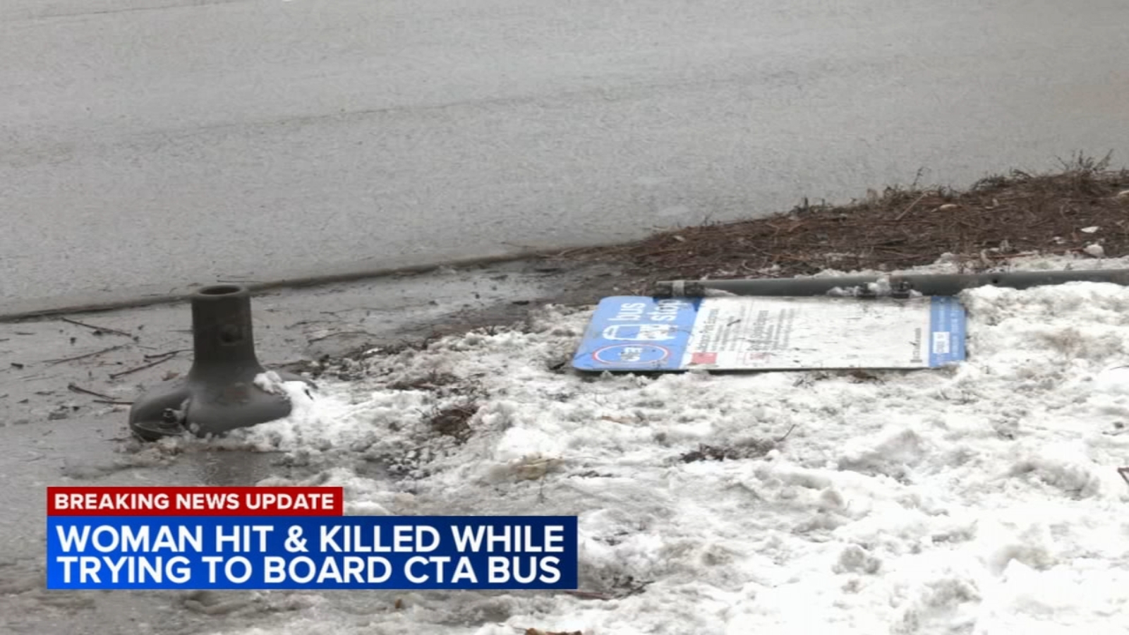 Chicago crash: Woman struck, killed by CTA bus in South Shore ...
