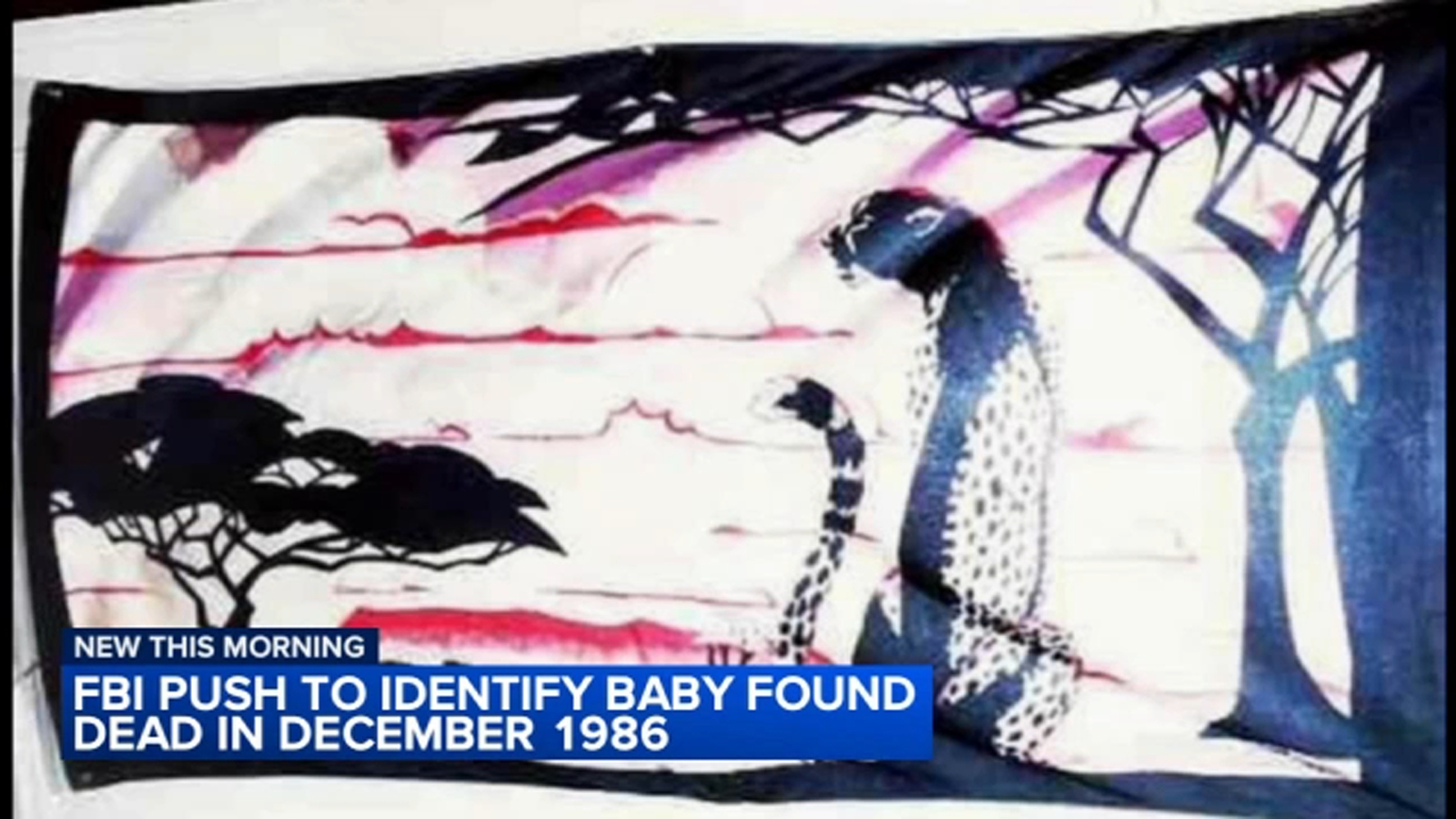 FBI looking to identify baby girl found in Gloucester County dumpster ...