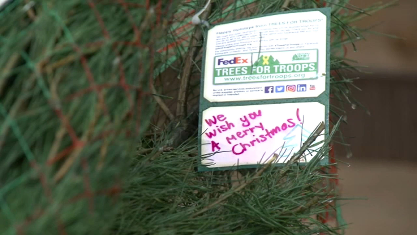 Trees for Troops delivers more than 600 Christmas trees to make ...