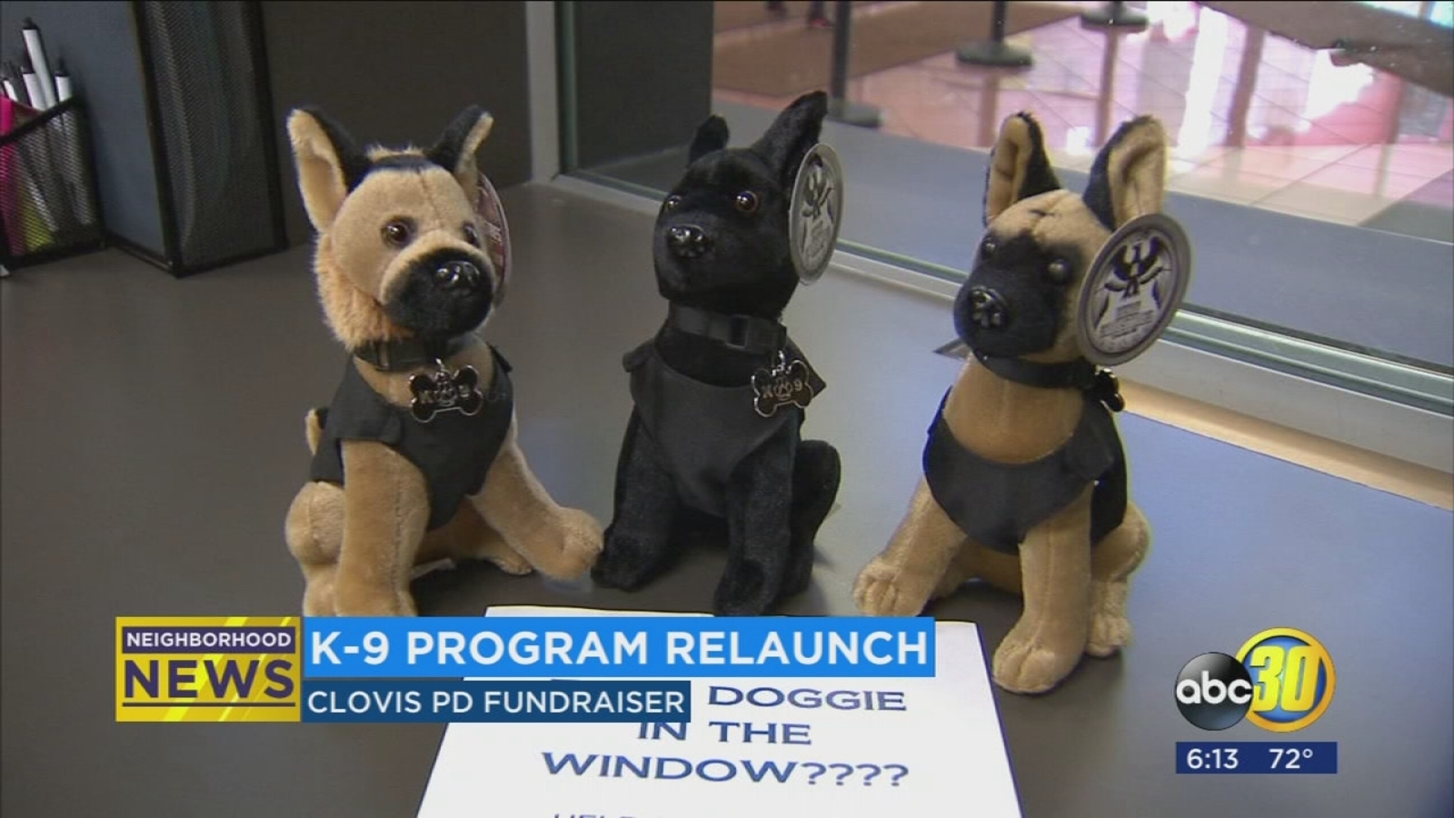 Clovis Police hold adorable fundraiser for K9 unit - ABC30 Fresno