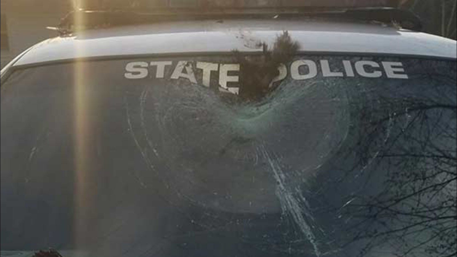 Wild turkey flies through windshield in Indiana for 2nd time in 2 days ...