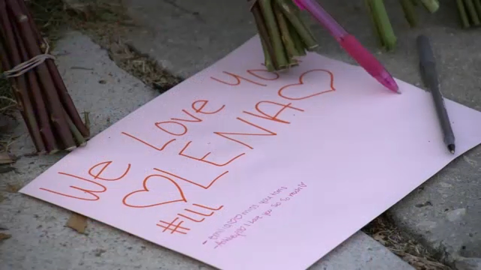 Lena Goff | Outpouring of support for parents of 15-year-old Cary girl ...