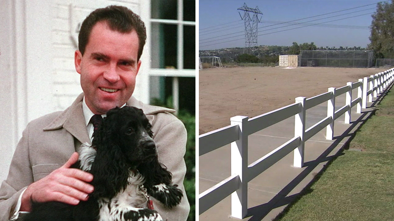 What Type Of Dog Was Checkers