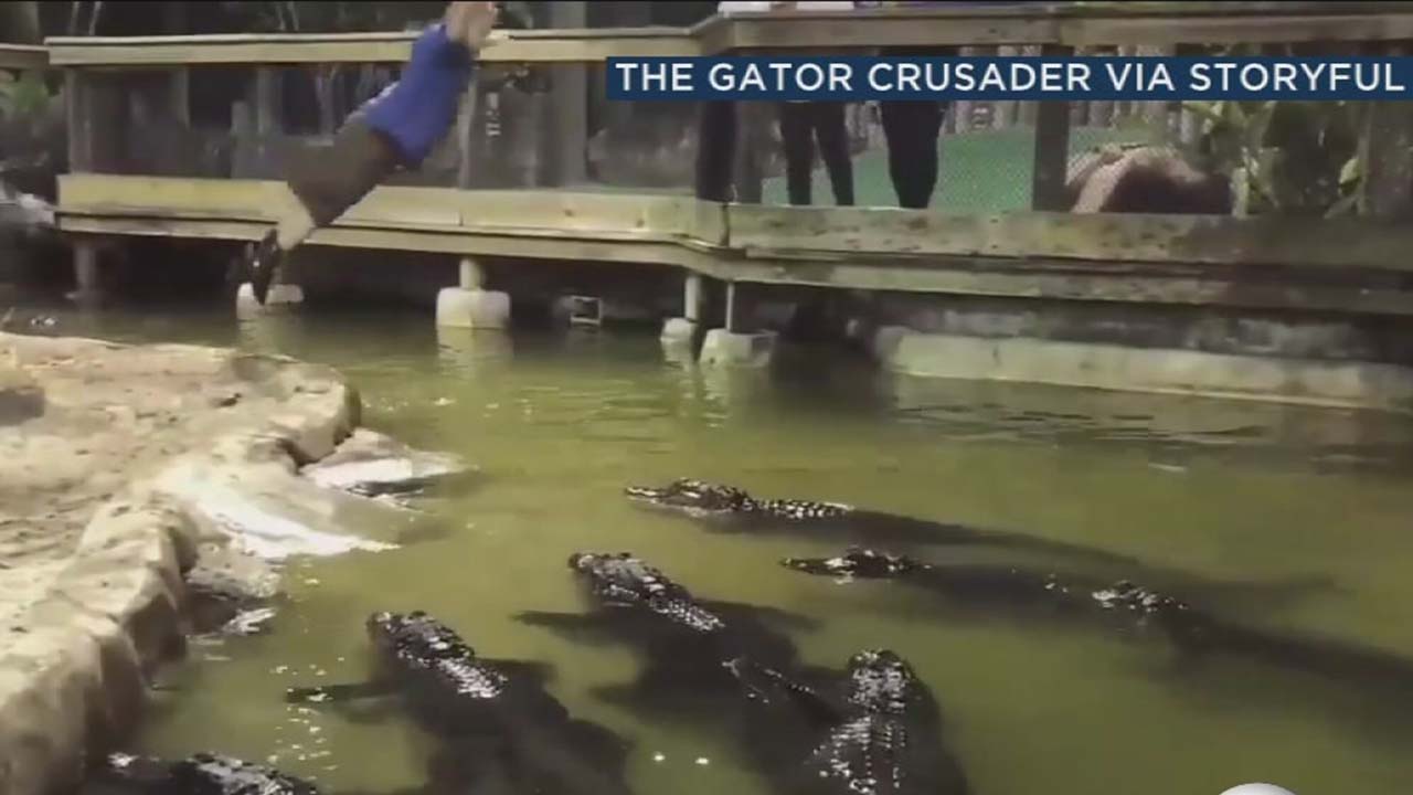 Man dives headlong into pool filled with alligators | abc13.com
