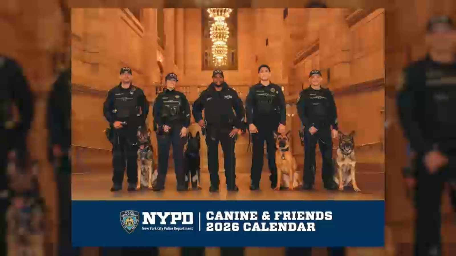 NYPD police dogs and horses get their moment in the spotlight with the ...