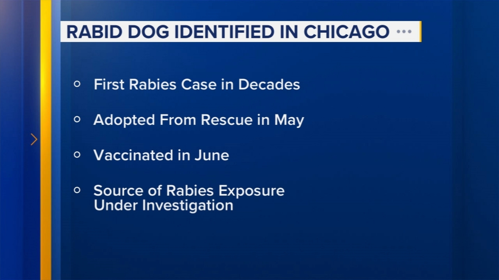 Is a Chicago Dog the Latest Victim of Rabies After Decades? | WelshWave