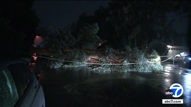 Santa Anita's Opening Day postponed due to weather - ABC7 Los Angeles